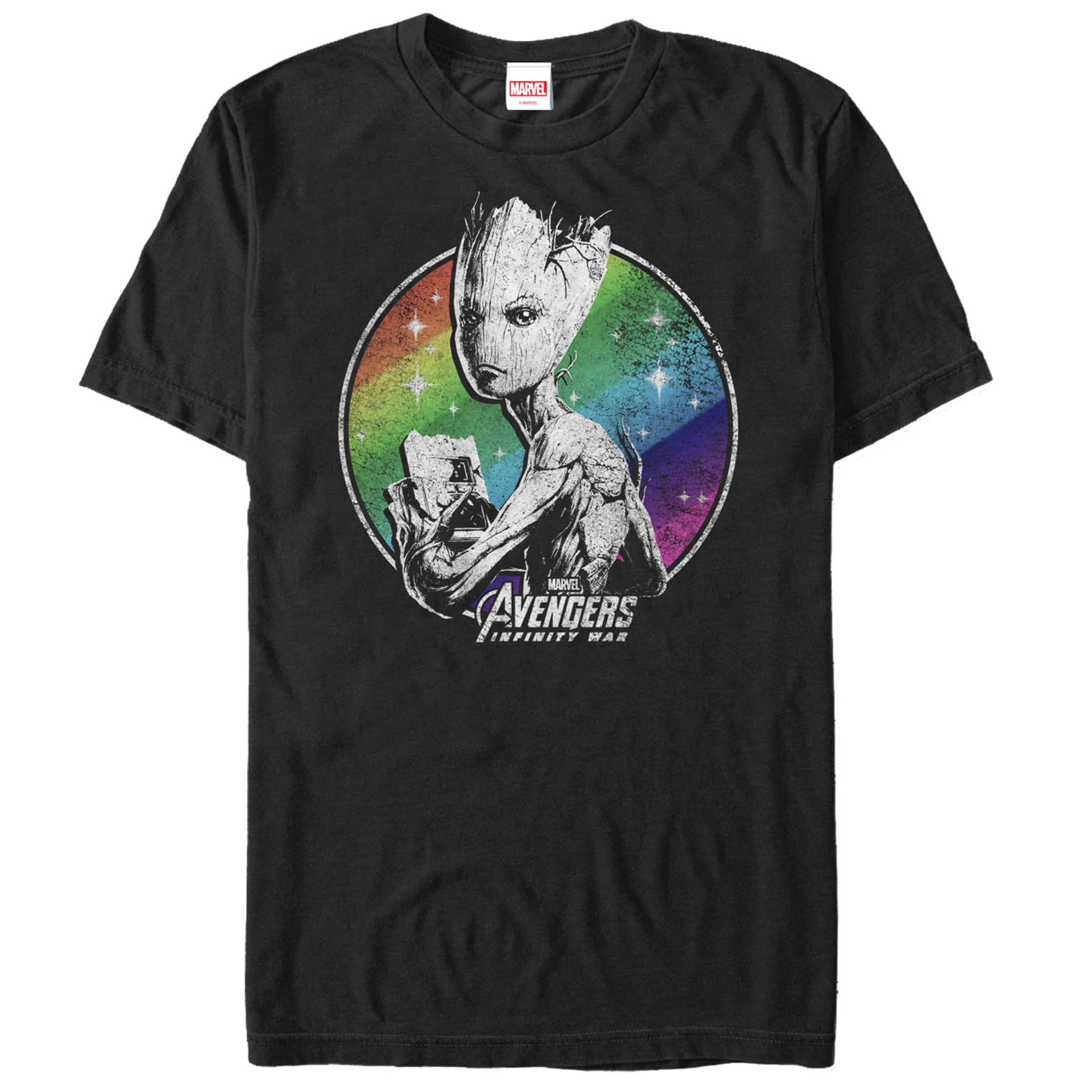 Men's Marvel Avengers: Infinity War Groot Rainbow Graphic Tee Black 4X ...