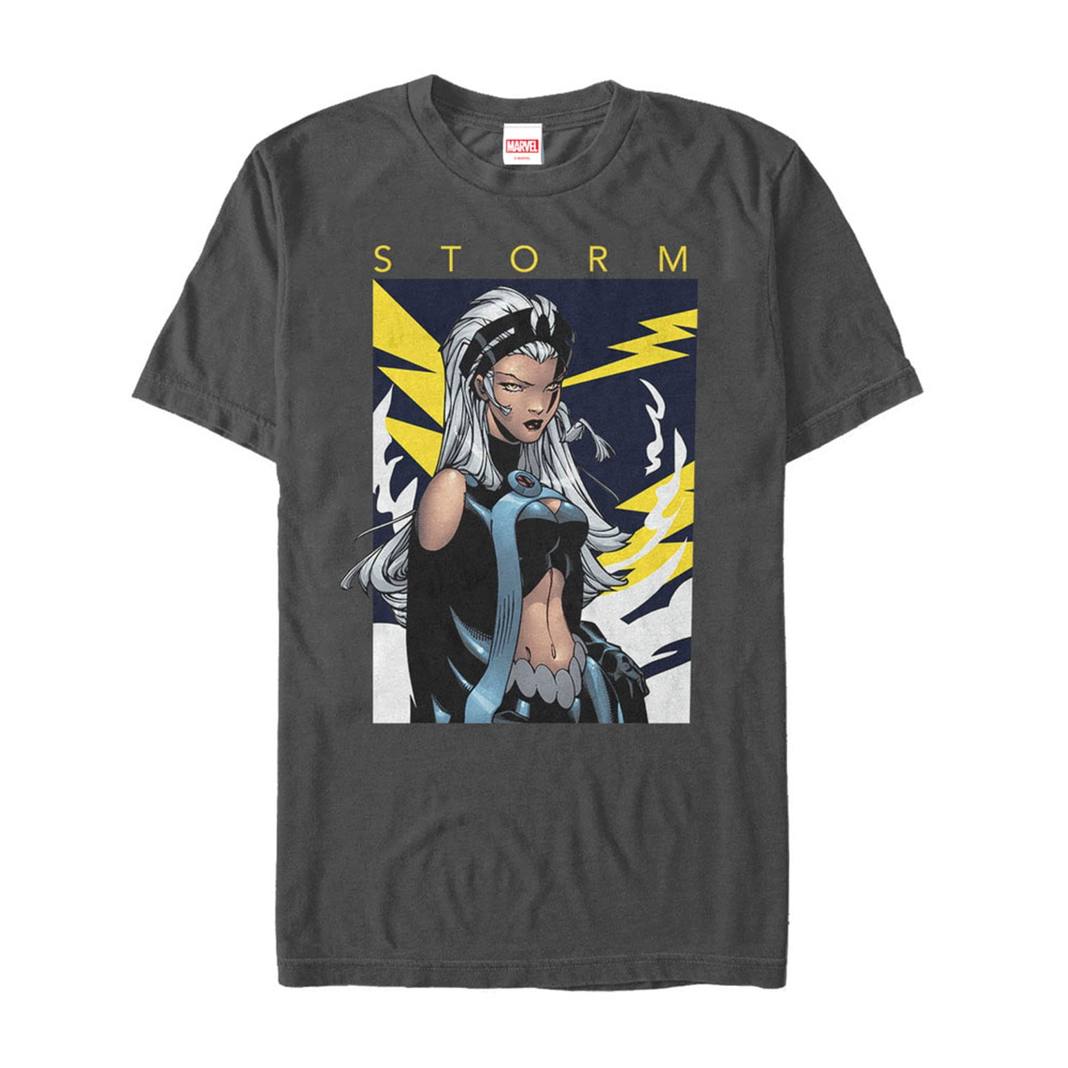 Men's Marvel X-Men Storm Lightning Graphic Tee Charcoal 2X Large ...