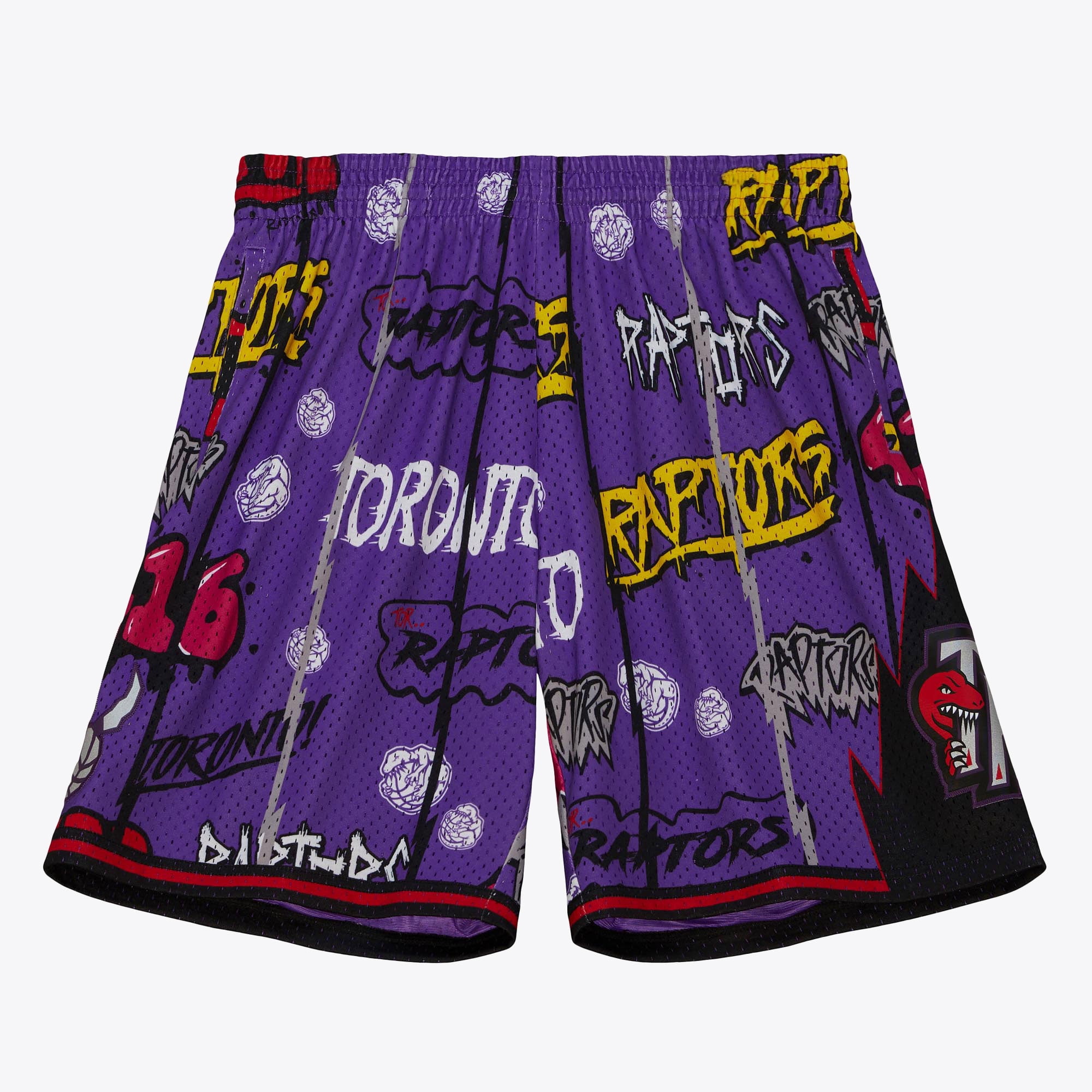 Men's Mitchell & Ness Purple Toronto Raptors 1998/99 Hardwood Classics ...