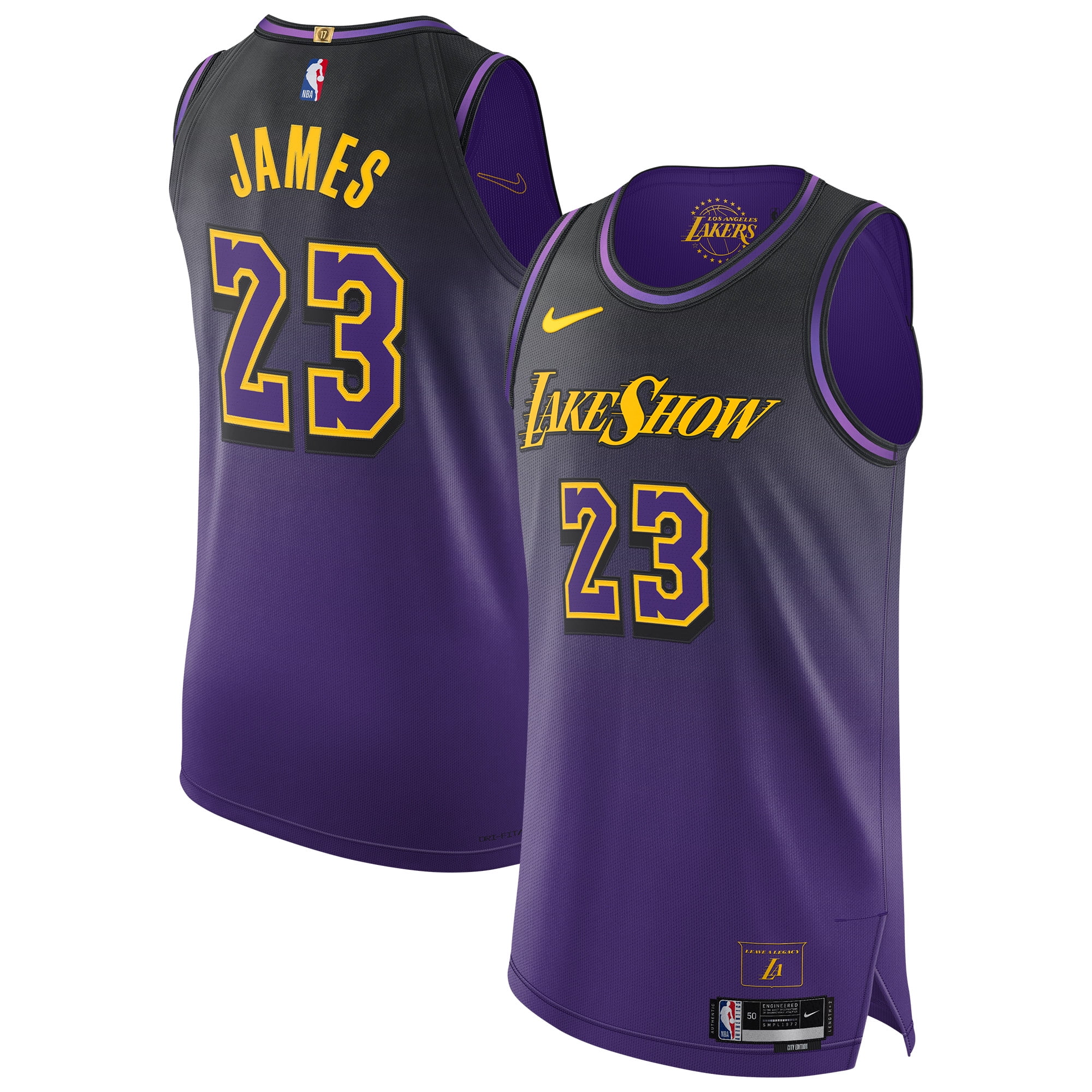 Men's Nike LeBron James Purple Los Angeles Lakers 2024/25 Authentic ...