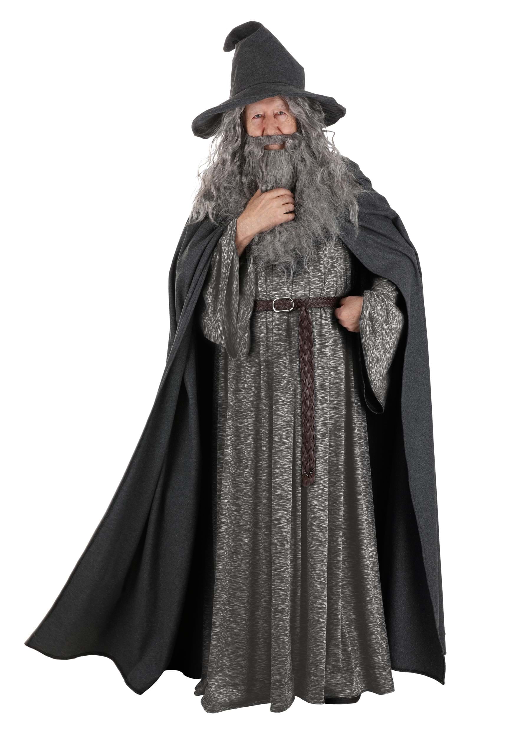 Adult Men's Plus Size Gandalf Wizard Costume for Halloween, Lord of the ...