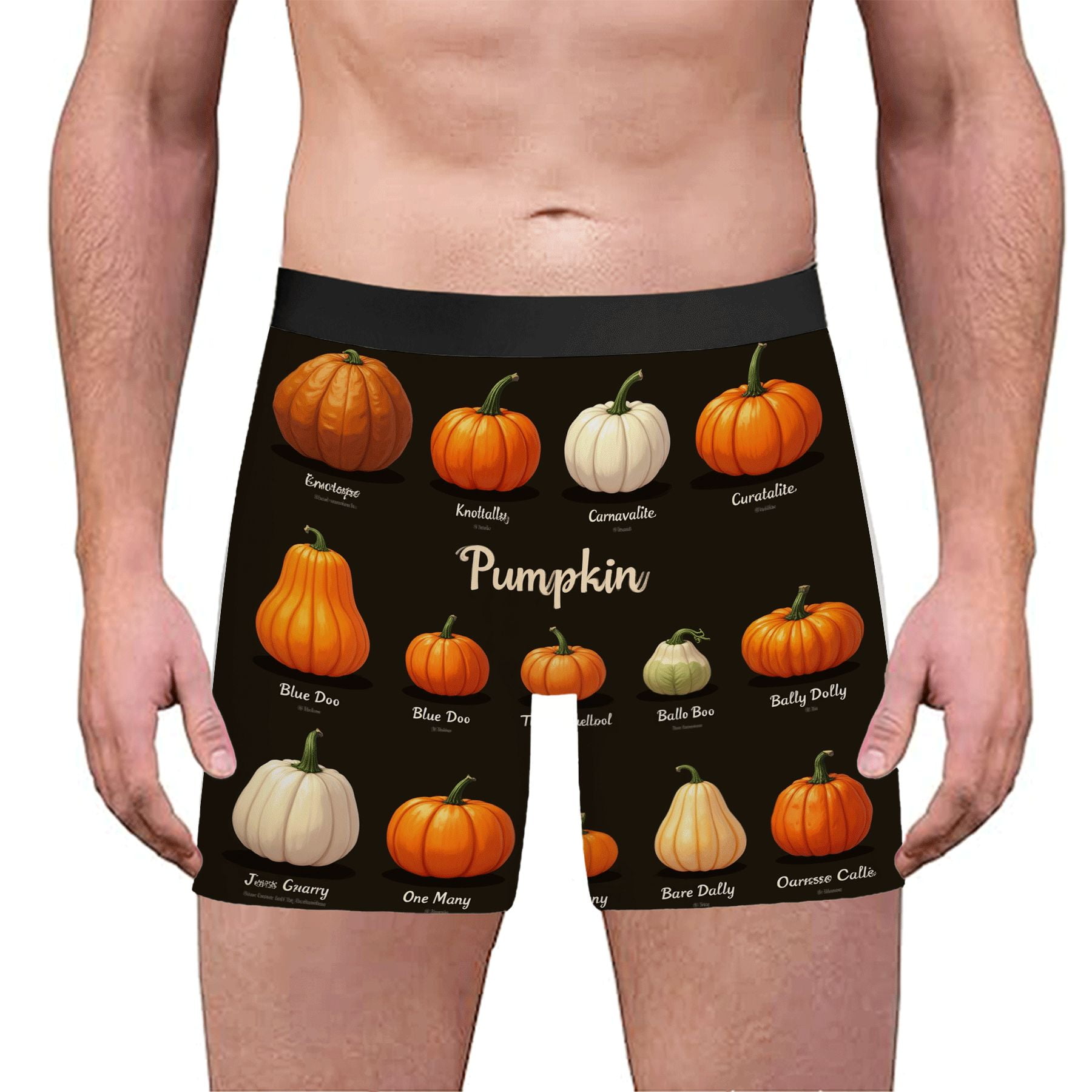 Men's Pumpkin-Themed Boxer Briefs with Colorful Pumpkin Illustrations ...