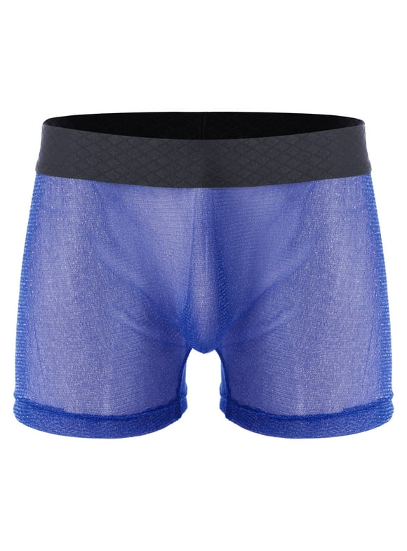 Mens Sheer Swimwear