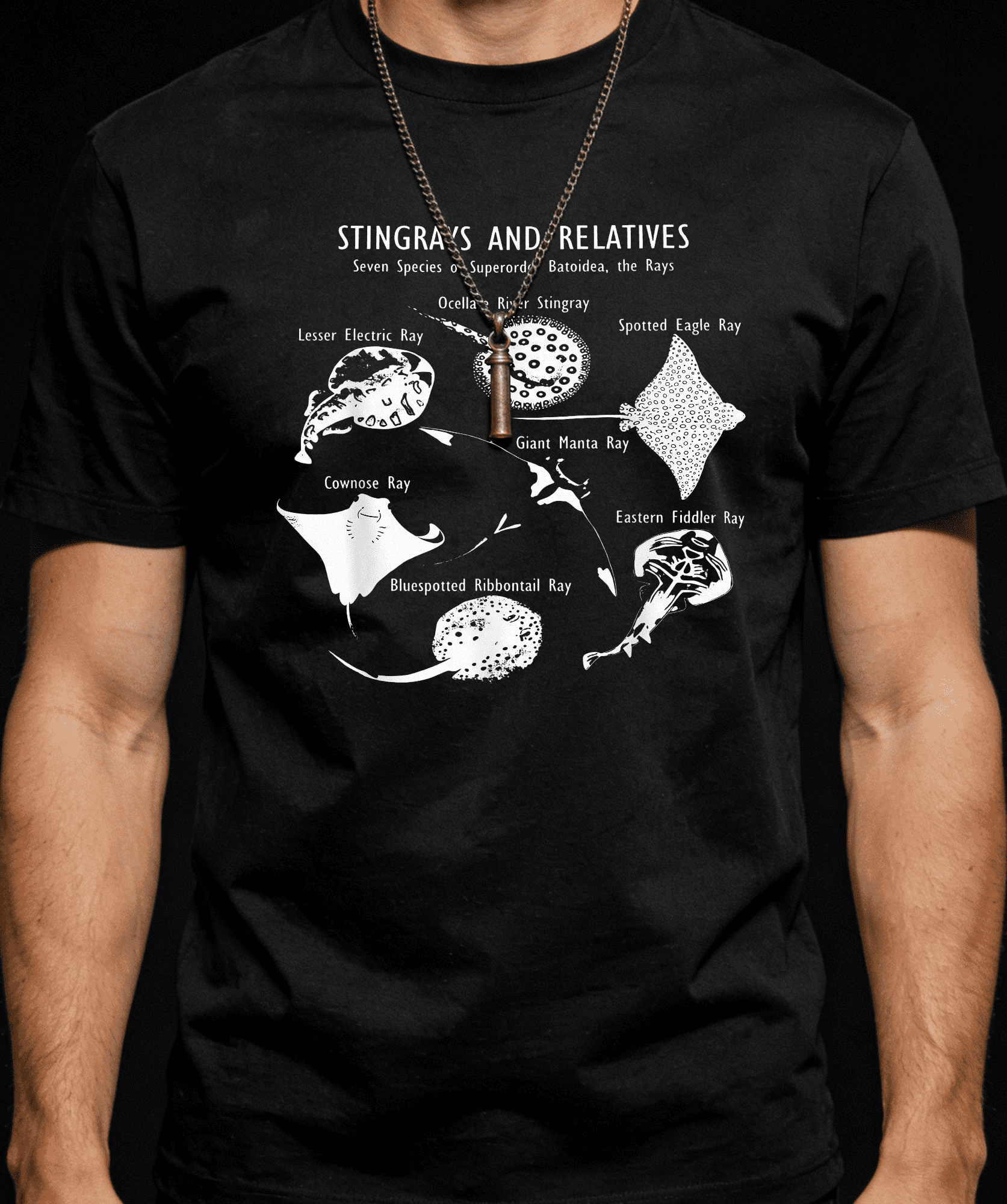 Men's Seven Species of Stingrays Ray Relatives T-Shirt M-5XL - Walmart.com