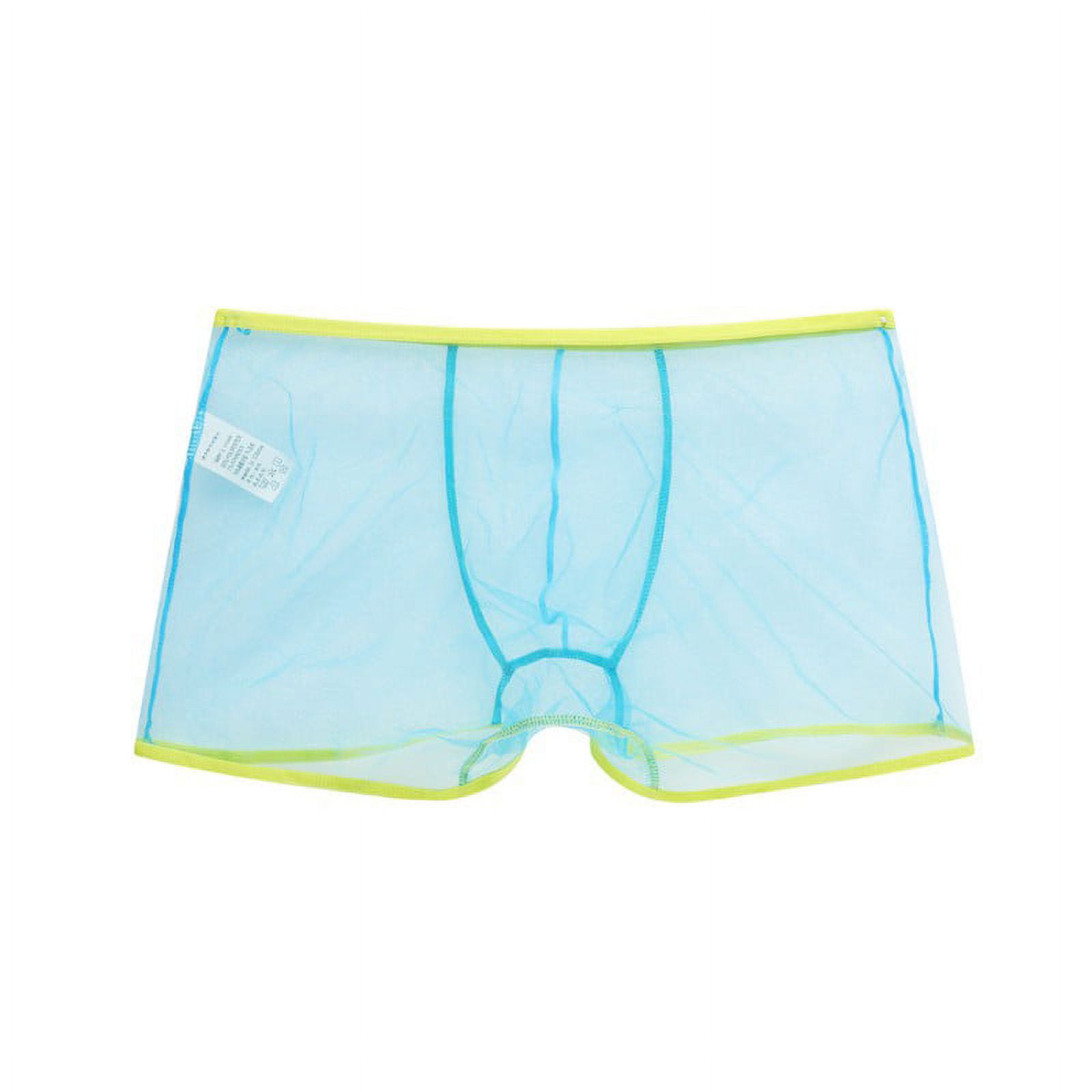 Men's Sexy Mesh Sheer Bulge Pouch Trunks Boxer Briefs - Walmart.com