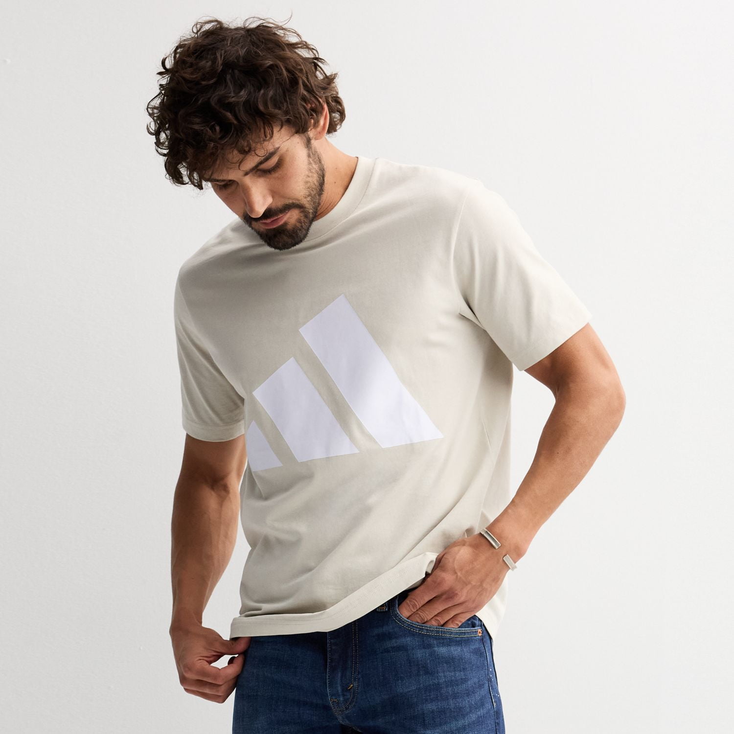 Men's adidas Essentials Big Logo Sportswear T-Shirt Color: Wonder ...