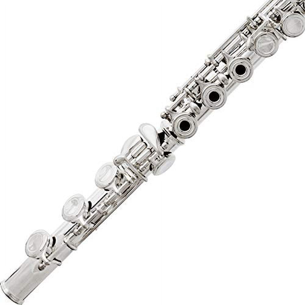 Mendini by Cecilio Premium Open Hole C 17 Keys Flute with B-Foot ...