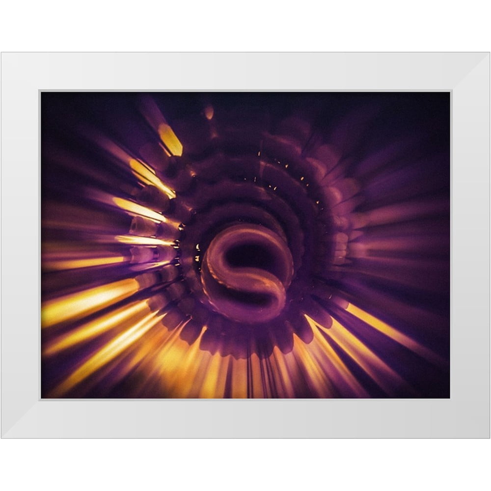 Menhard, Ingo 14x12 White Modern Wood Framed Museum Art Print Titled ...