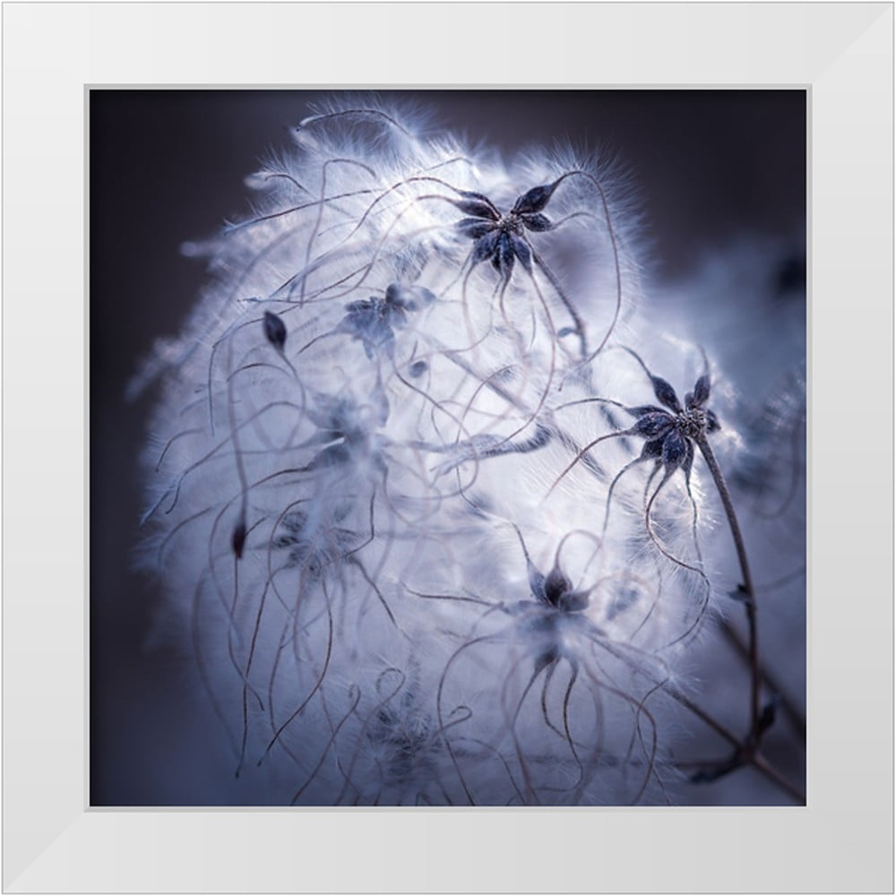 Menhard, Ingo 26x26 White Modern Wood Framed Museum Art Print Titled ...