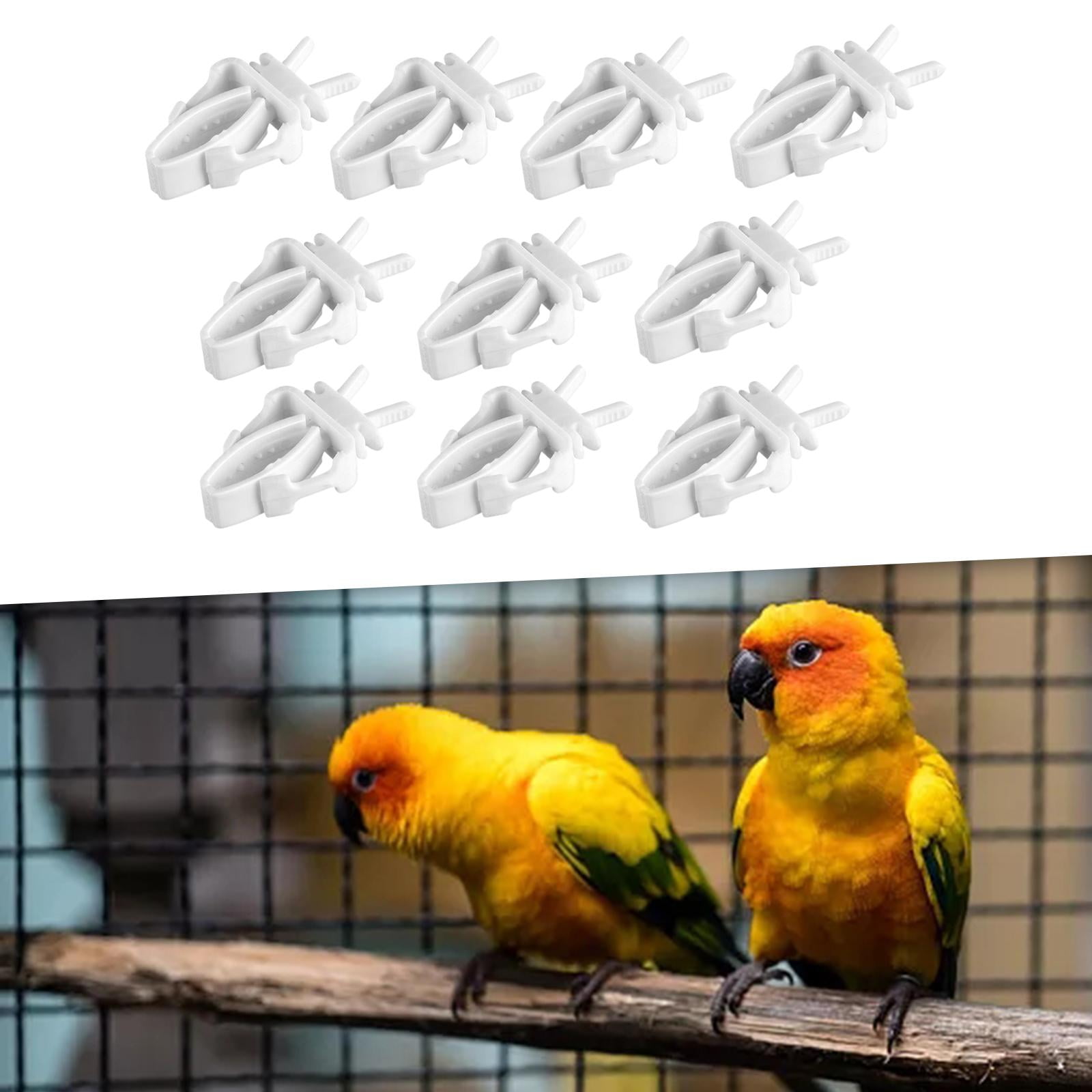 Menolana 10x Bird Cage Feeder Clip Bird Cage Accessory Budgie Cage Clip ...