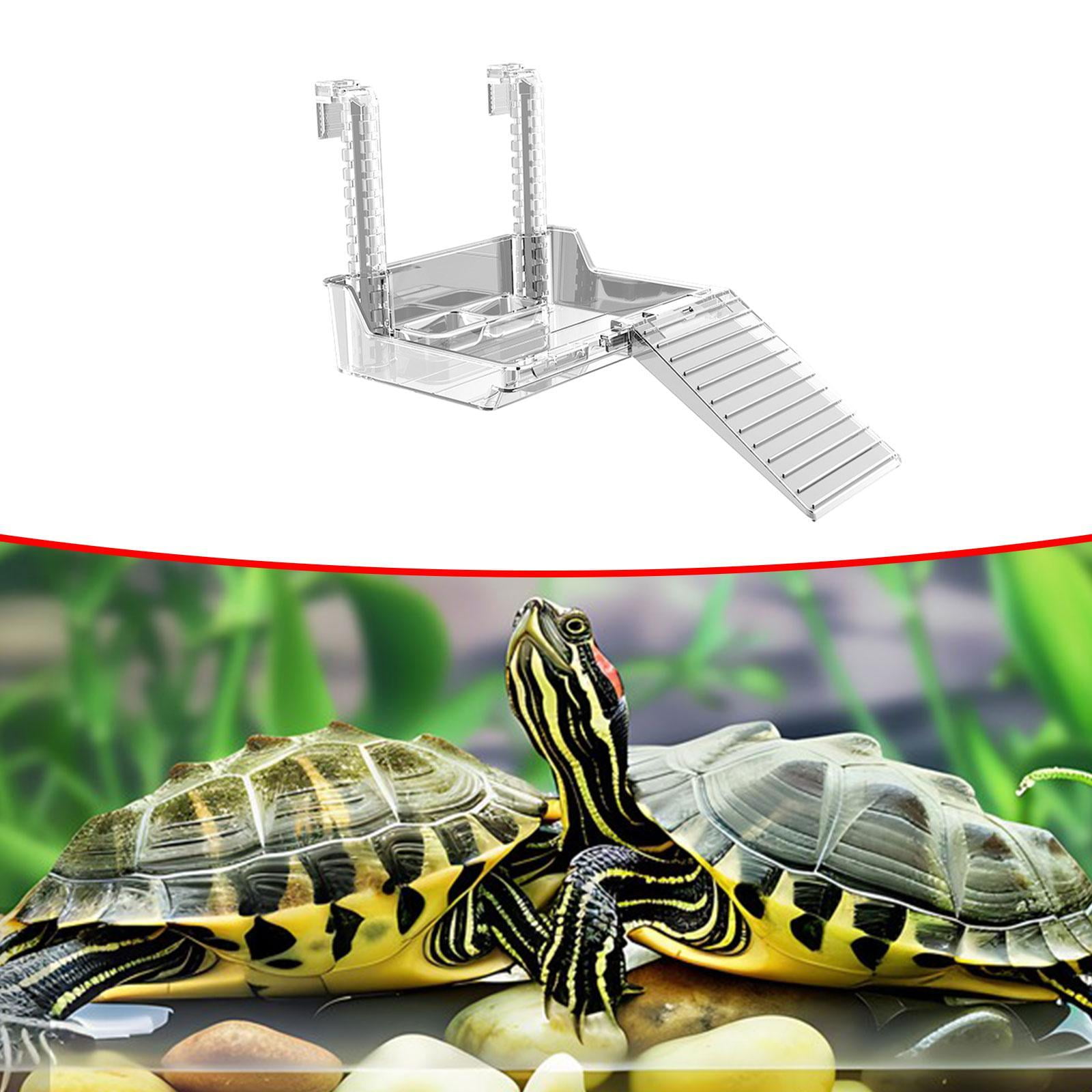 Menolana Aquatic Reptile Basking Tortoise Resting Terrace with Ramp ...