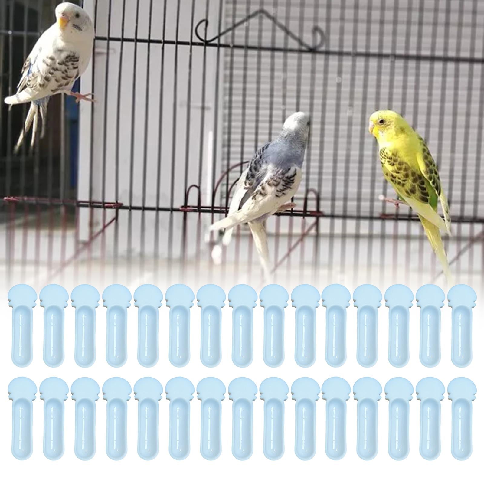 Menolana Bird Feeder Bird Feeding Box Feeding Station Water Dispenser ...