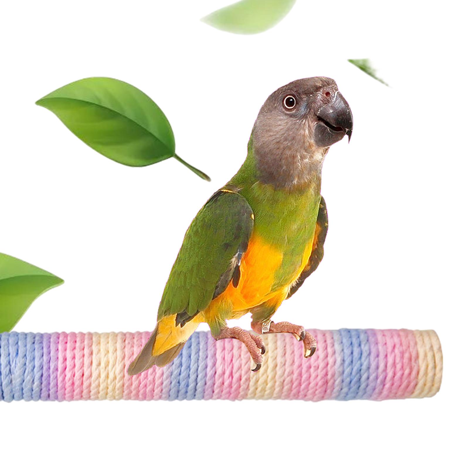 Menolana Pet Parrot Perch Parakeet Cage Perch Platform Paw Grinding ...