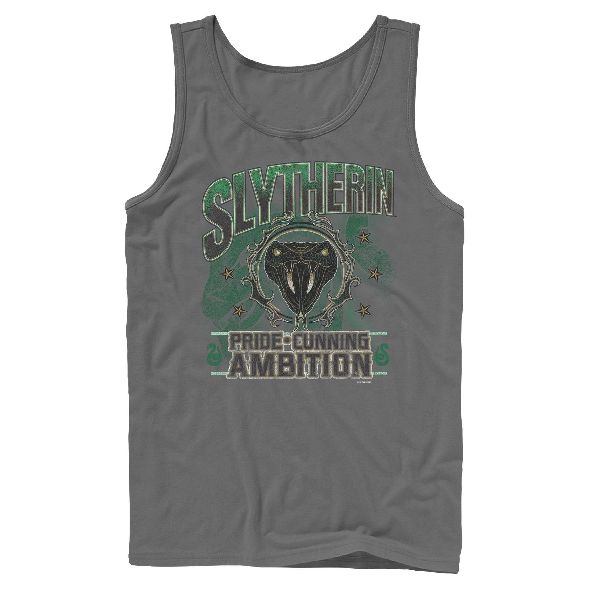 Mens Harry Potter Slytherin Pride and Ambition Tank Top - Walmart.com