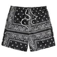 Mens Paisley Shorts Graphic Bandana Shorts Retro Running Boxing Boho ...
