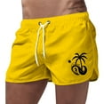 Mens Swim Trunks 9 Inch Graphic Summer Board Shorts with Pockets ...