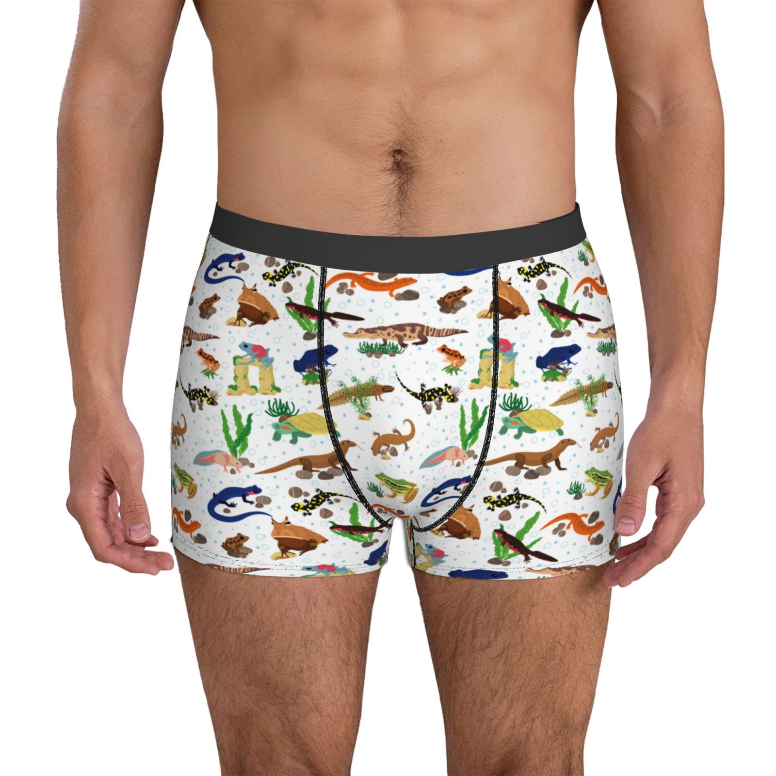 Mens Underwear Boxer Briefs - Frog Turtle Newt Lizard Seaweed ...
