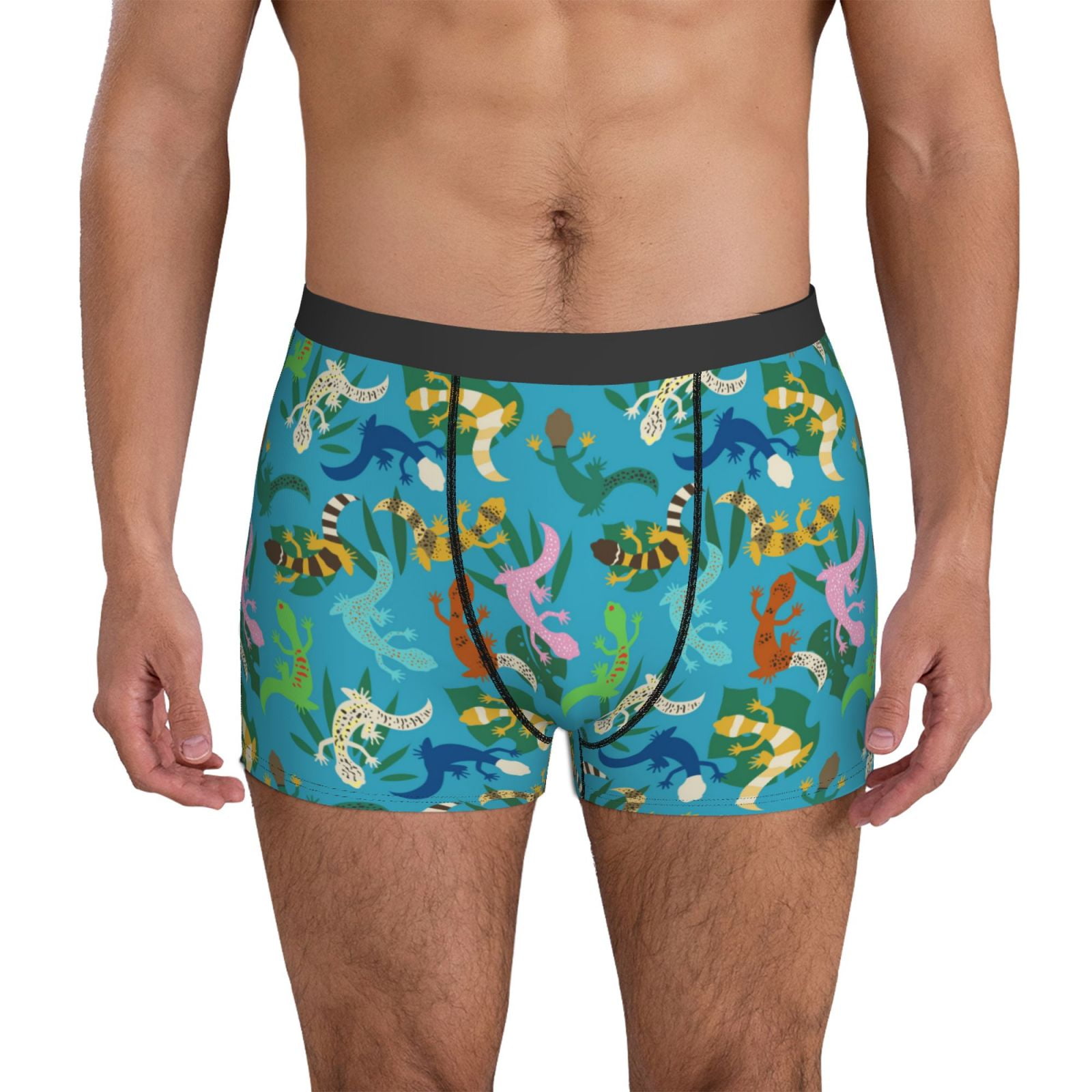 Mens Underwear Boxer Briefs Striped Cute Lizard Gecko Plant_B Soft ...