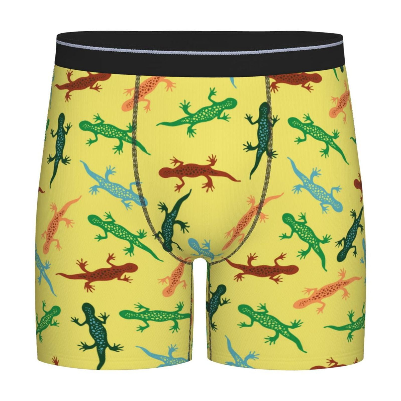 Mens Underwear, Colorful Cute Lizard Gecko_A Mens Underwear Boxer ...
