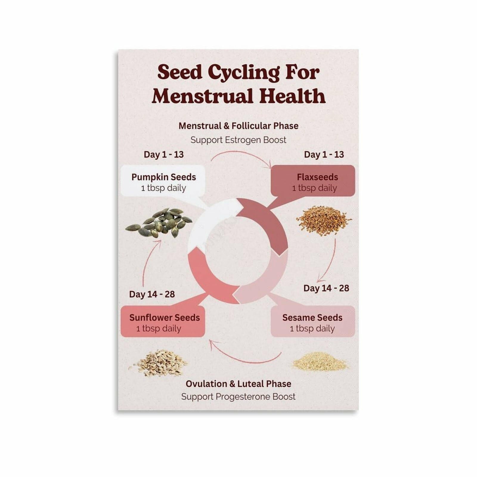Menstrual Cycle Food for Each Phase Poster Kitchen (2) Canvas for ...