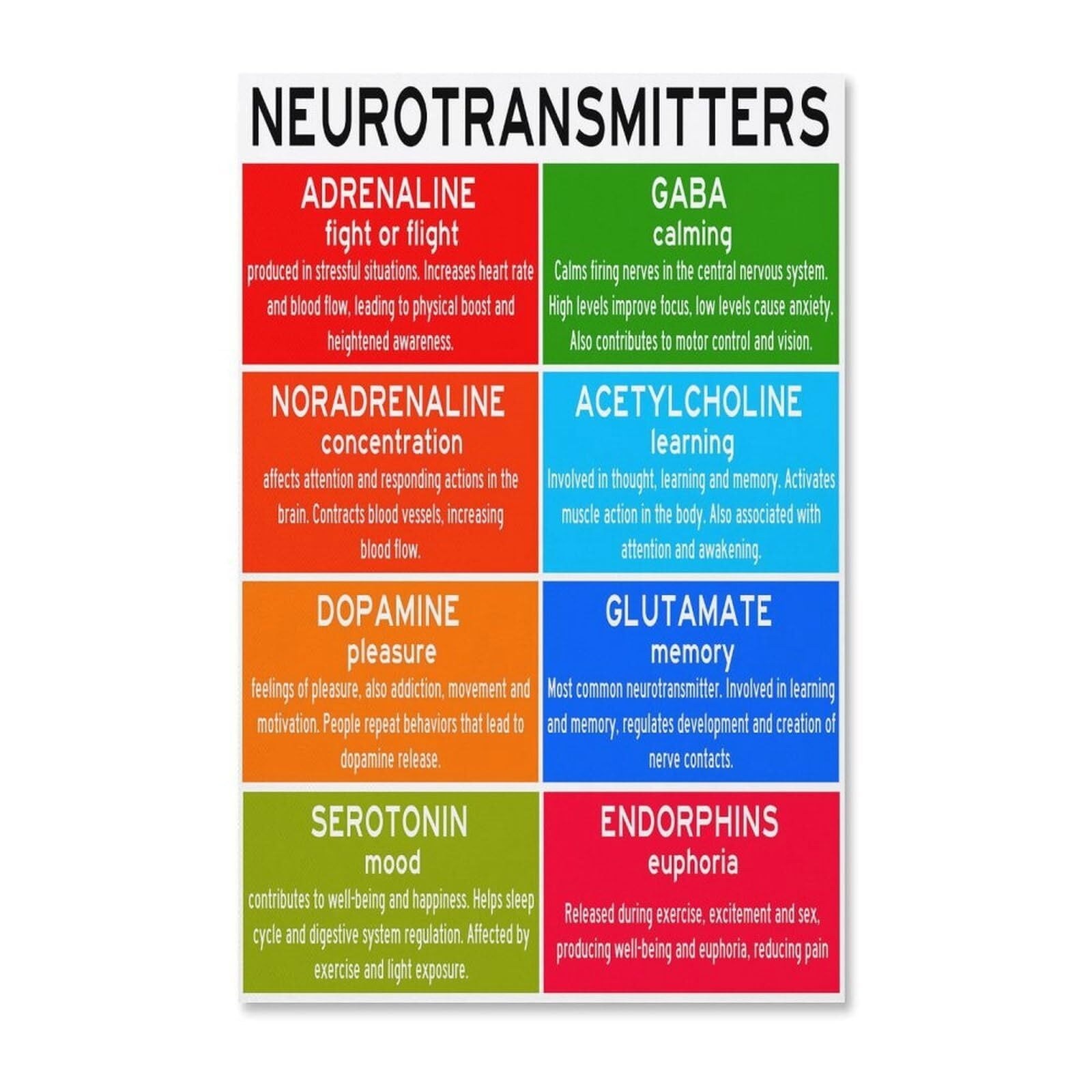 Mental Health Neurotransmitter Infographic Poster Kitchen Poster ...
