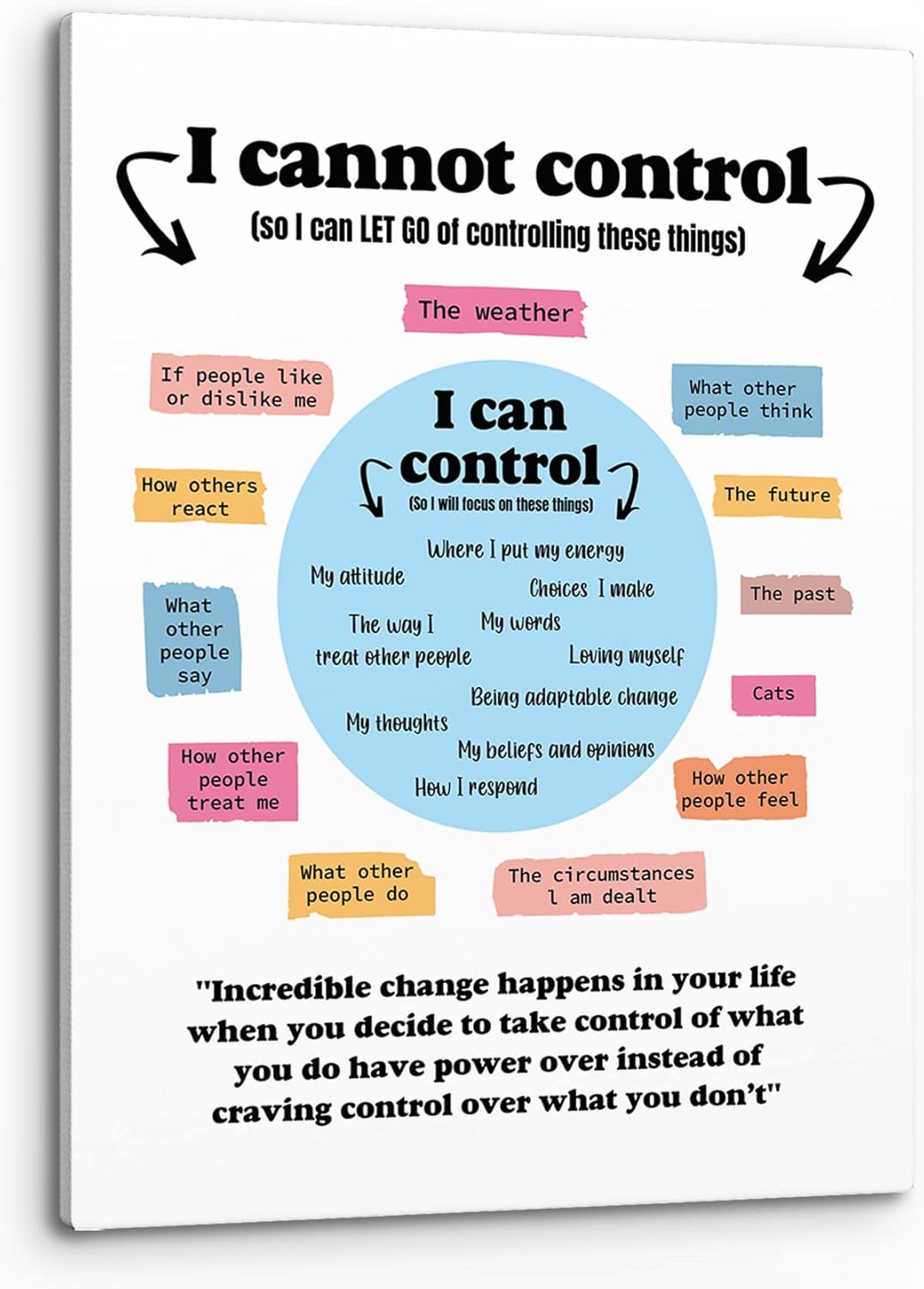 Mental Health What I Can and Cannot Control Wall Art,Positive Poster ...