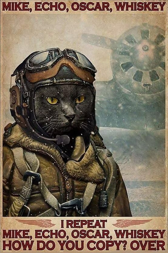 Meow Cat Fighter Pilot Diamond Art Painting Kits for Adults 5D Mike ...