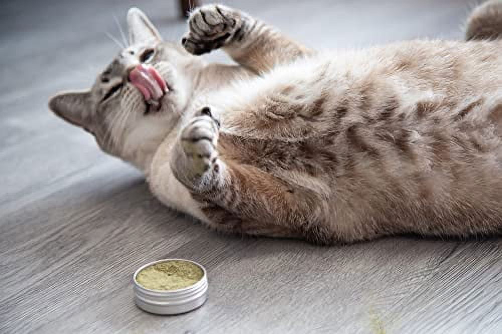 Meowy Janes Catnip Alternative Variety Powder Pack- Catnip Keef, Silvervine Powder and Valerian ...