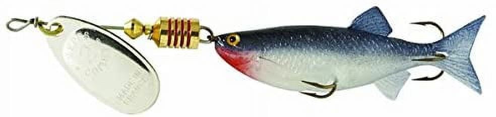 Mepps Sheldon Silver Comet Mino Inline Spinner, 1/4-ounce, Silver ...