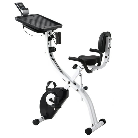 Merax 2 in 1 Folding Exercise Bike Magnetic Upright Fitness Cycle with ...