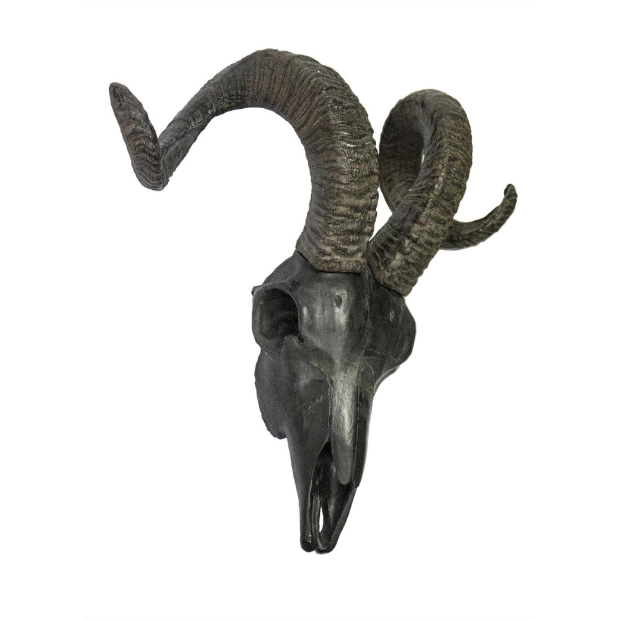 Benzara BM161023 Animal Inspired Ram Skull Wall Decor, Black - Walmart.com