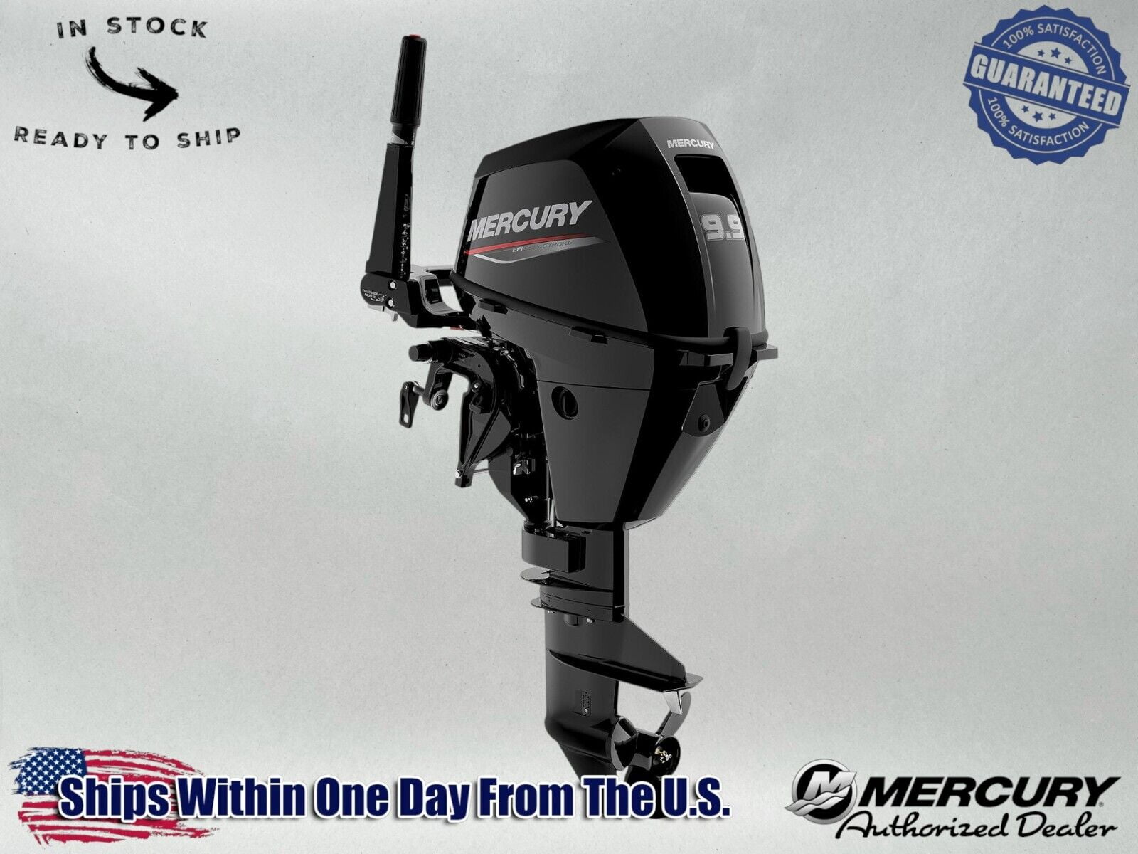 Mercury Electric Motor