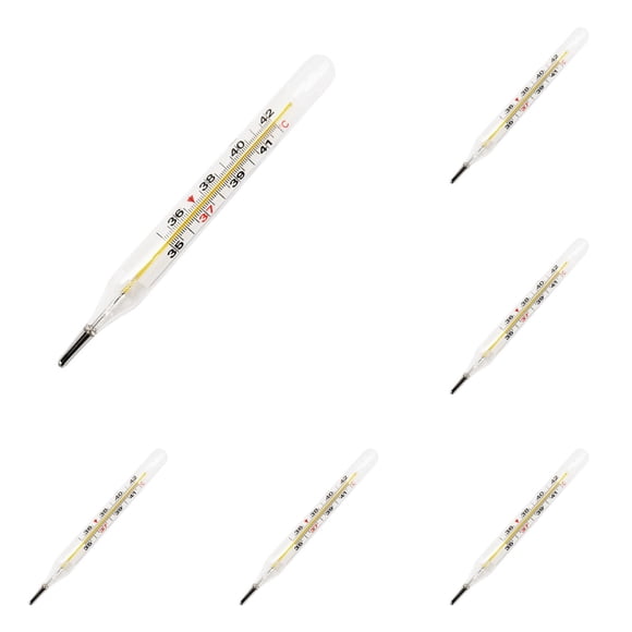 Mercury Thermometers
