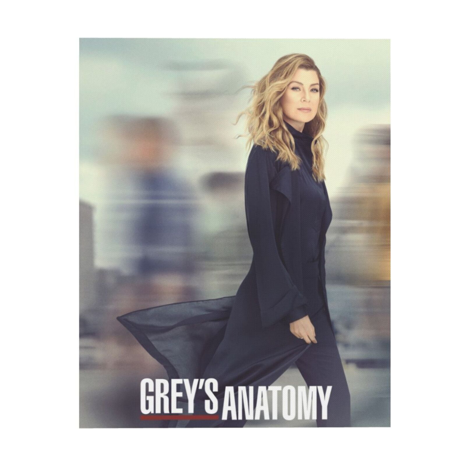 Meredith Grey's Anatomy Season Canvas Decorative Poster Art Picture ...