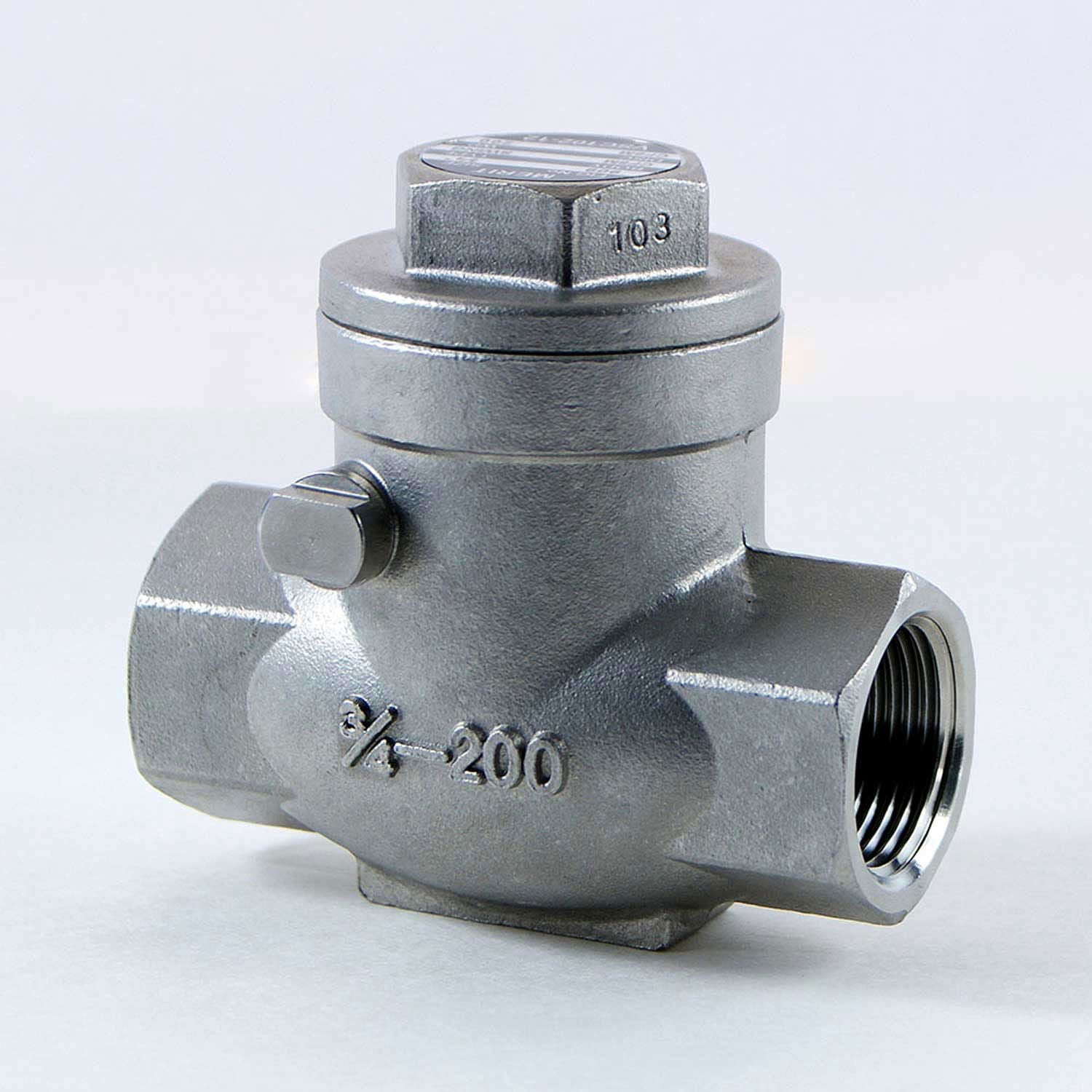 1-1/4 In. 316 Swing Check Valve, 200 PSI, Stainless Steel - Walmart.com