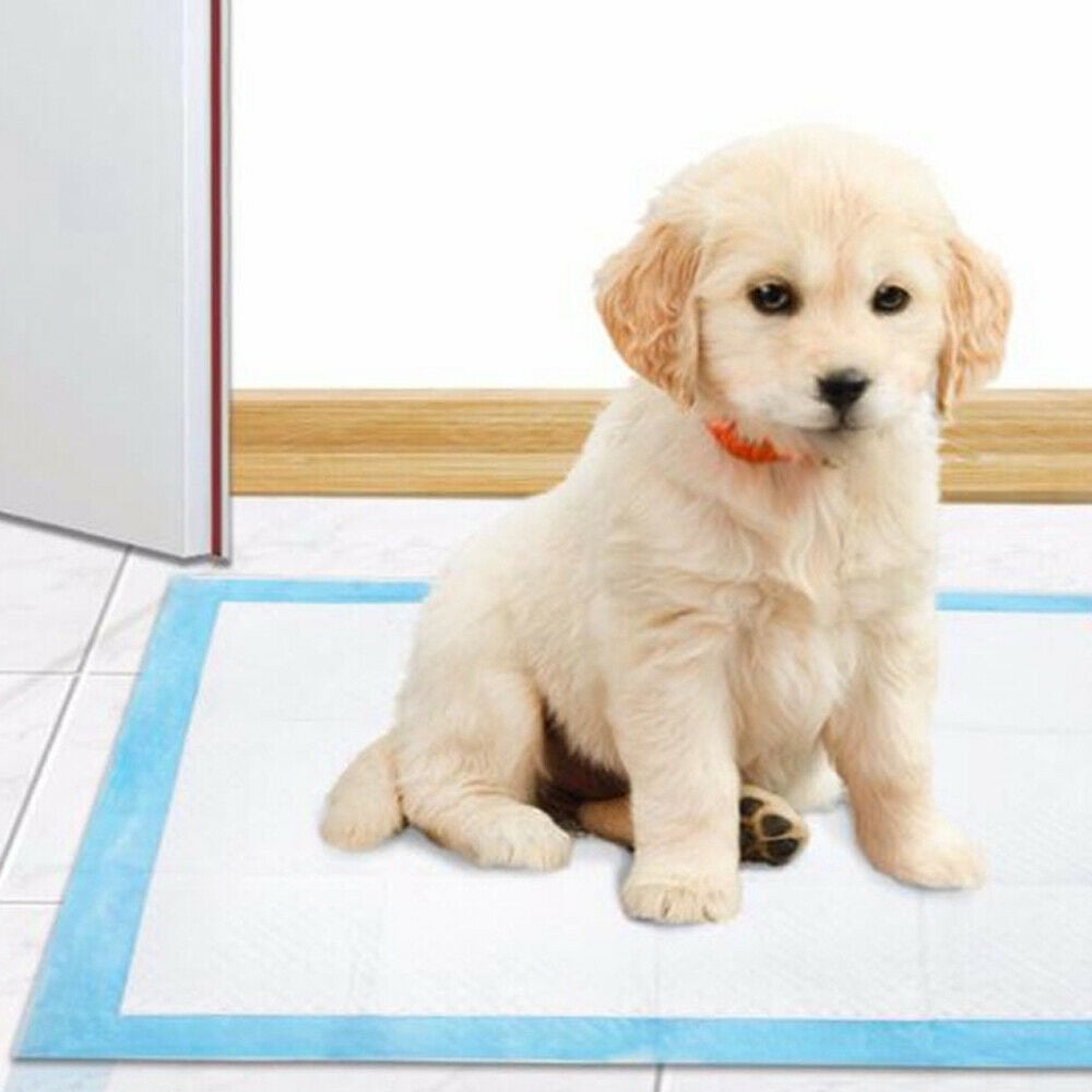 Merkaren Disposable Puppy Pads Pee Pads for Dogs, homepads Leak-Proof ...