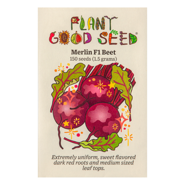 Asparagus Densiflorus Meyersii Succulent 5 Seeds~ Meyeri~ Foxtail~ Cat ...