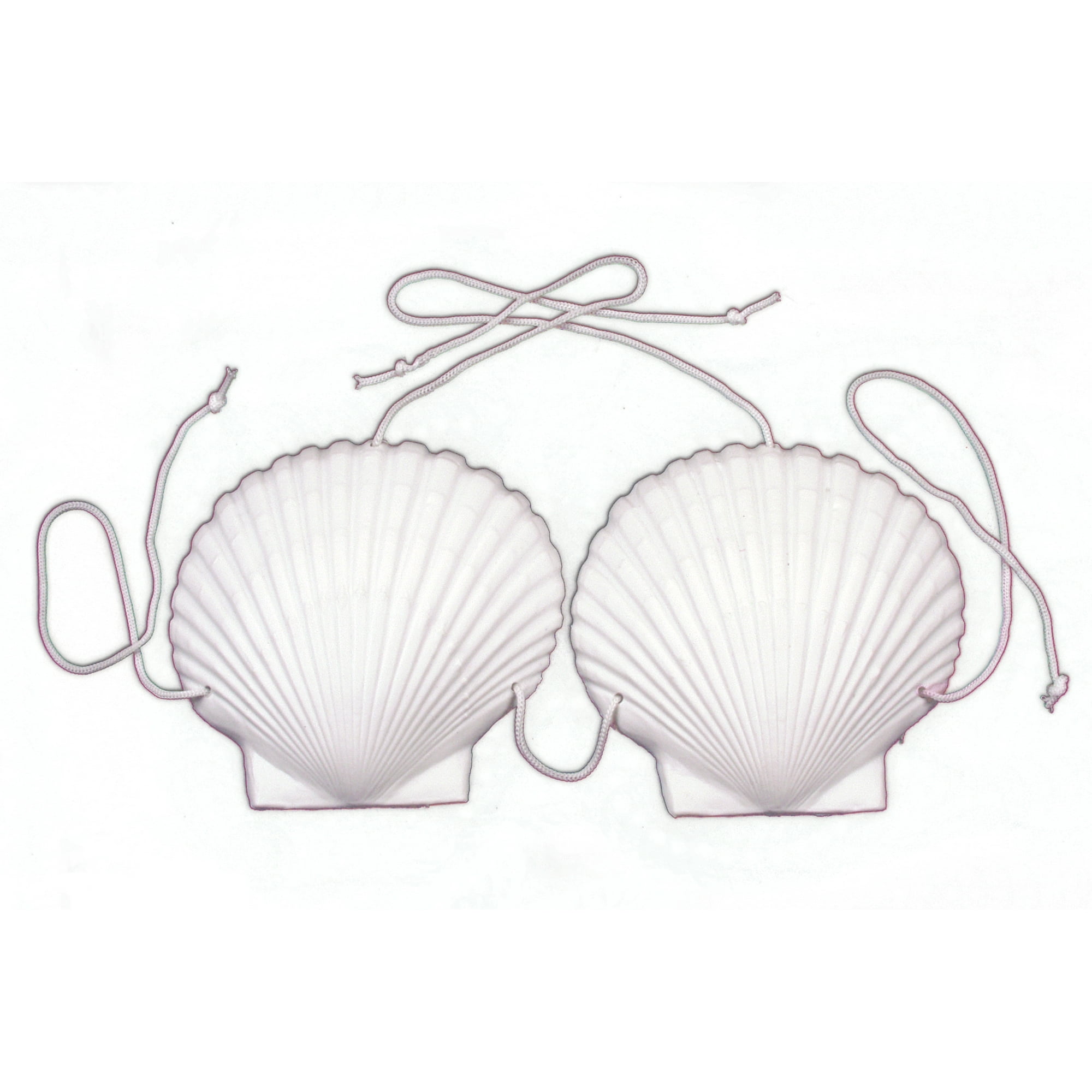 Mermaid Shell Bra