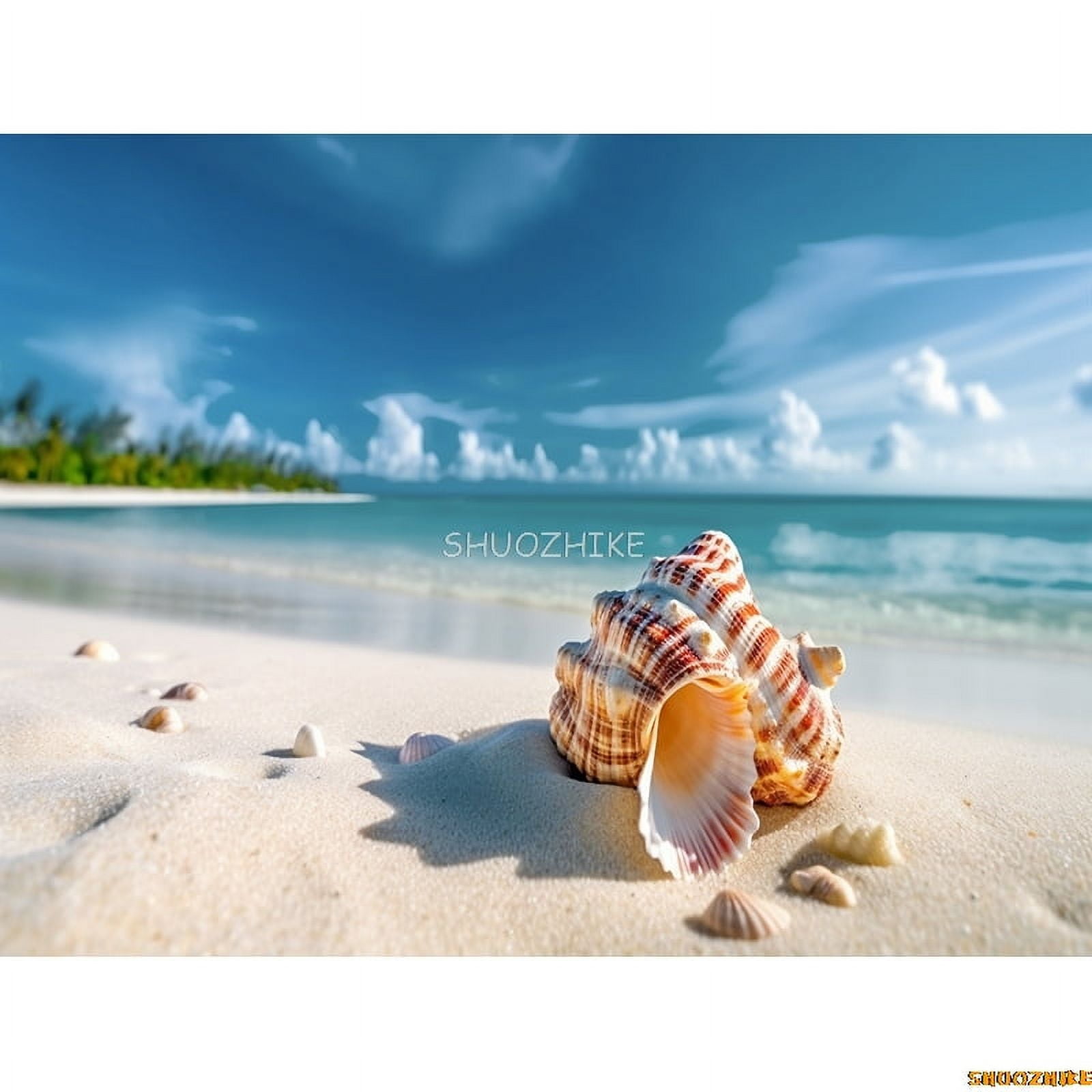 Mermaid Shell Beach Ocean Fish Photography Backdrops Underwater ...