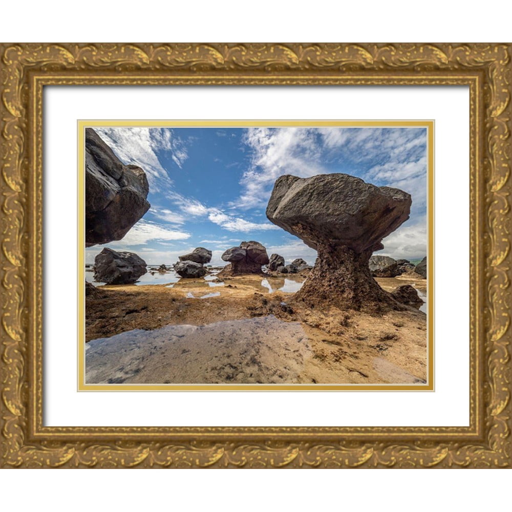 Merrill Images 18x15 Gold Ornate Wood Framed with Double Matting Museum ...