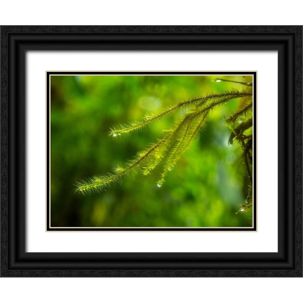 Merrill Images 24x19 Black Ornate Wood Framed with Double Matting ...