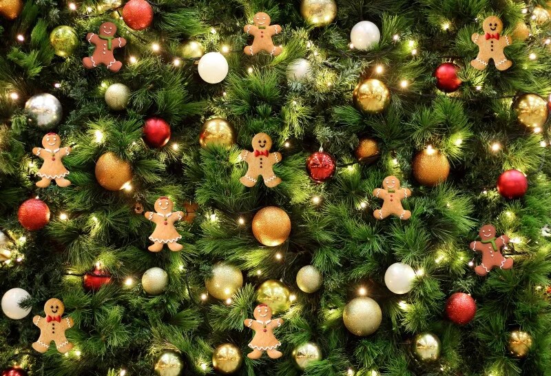 Merry Christmas Backdrop Green Pine Needles Red Berry Cute Snowman ...