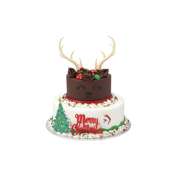 Christmas Cakes