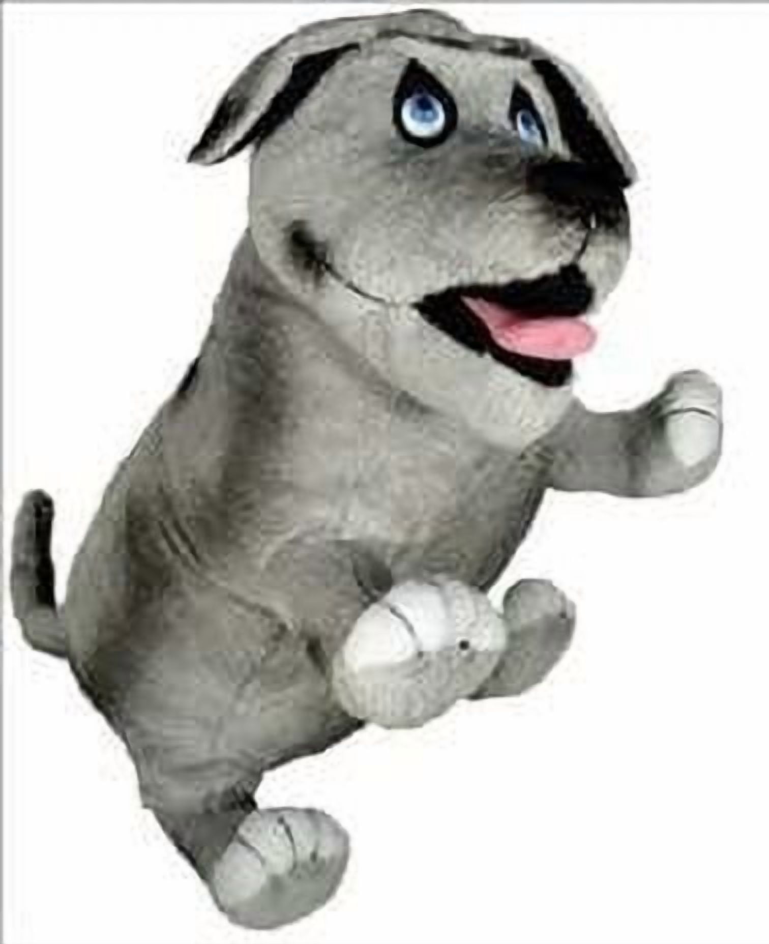 Walter the Farting Dog 8" Plush - Walmart.com