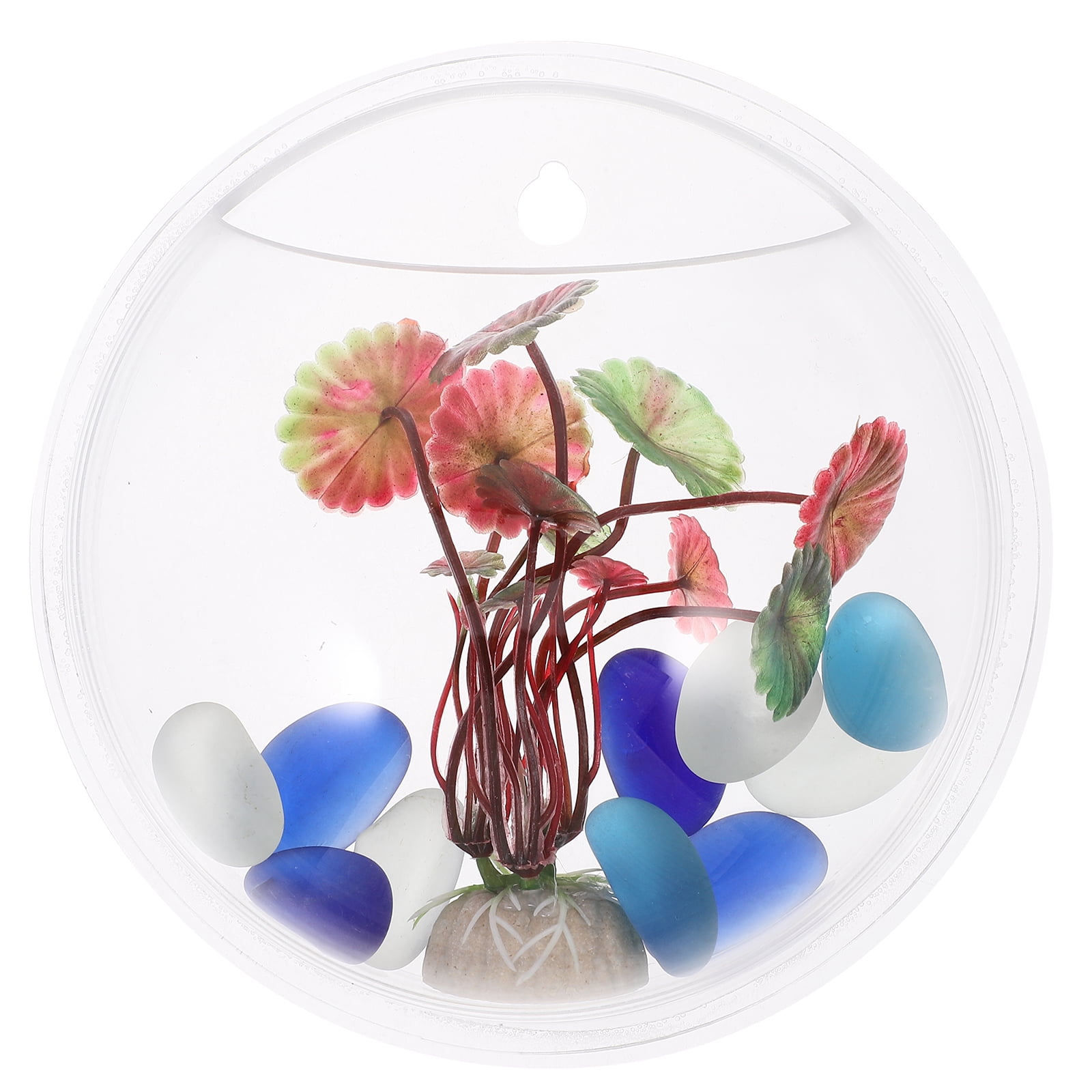 Mersess Wall Mounted Hanging Betta Tank, Transparent Bowl Aquarium ...