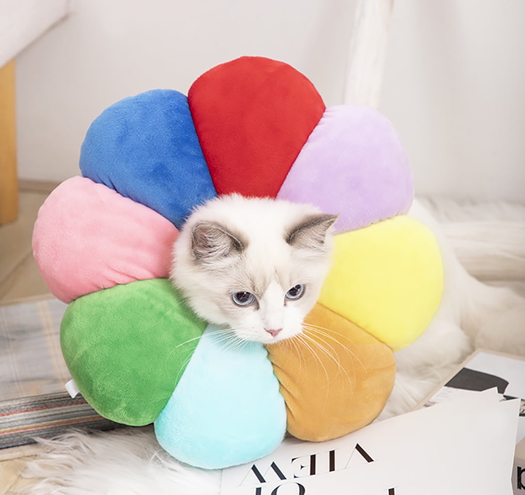 MesaSe Cat Recovery Collar, Adjustable Cute Cat Cone Collar After ...