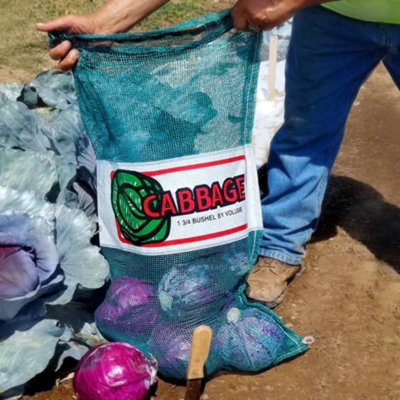 Harris Seeds - Mesh Cabbage Bags - 100 pcs. - Walmart.com
