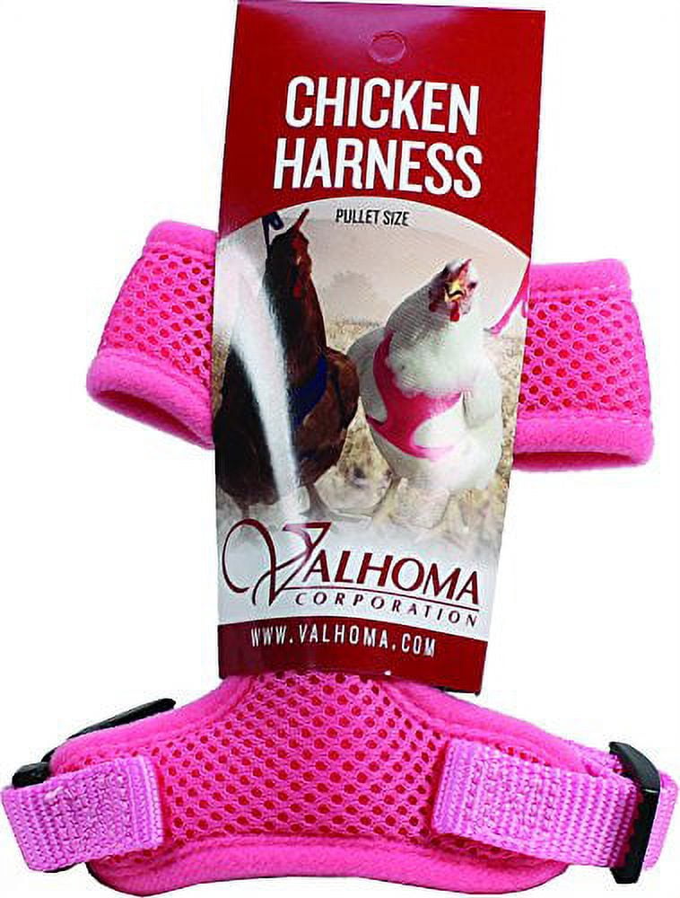 Mesh Chicken Harness (Pack of 1) - Walmart.com