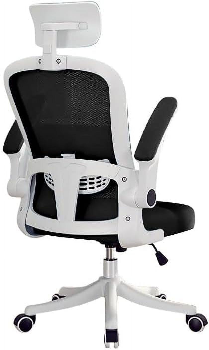 Mesh Ergonomic Office Chair Office Computer Chair with Ergonomic Lumbar ...
