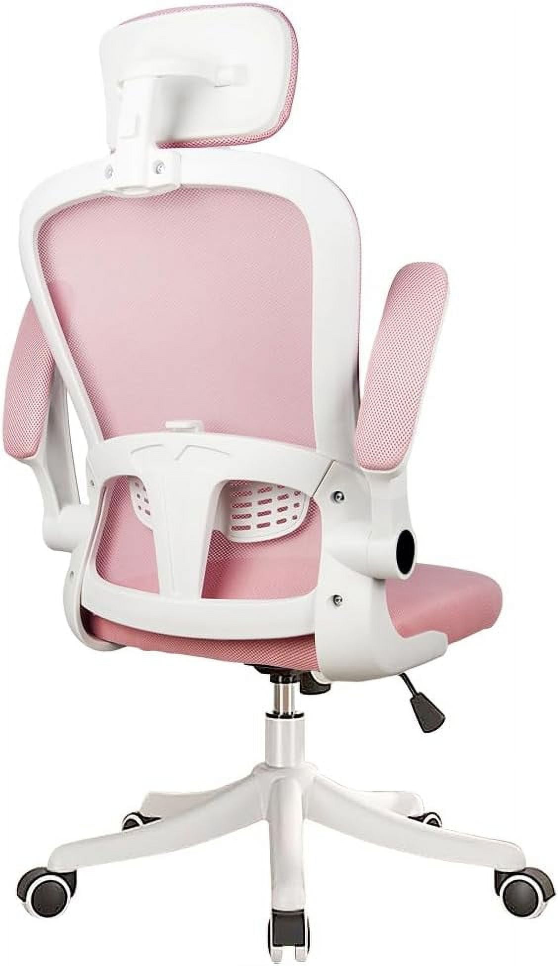 Mesh Ergonomic Office Chair Office Computer Chair with Ergonomic Lumbar ...